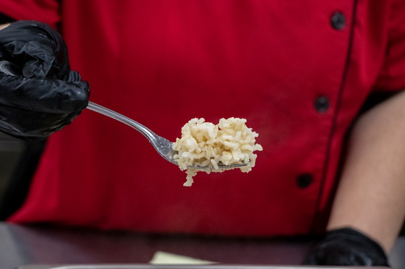 rice-fork – Cuisine Craft II